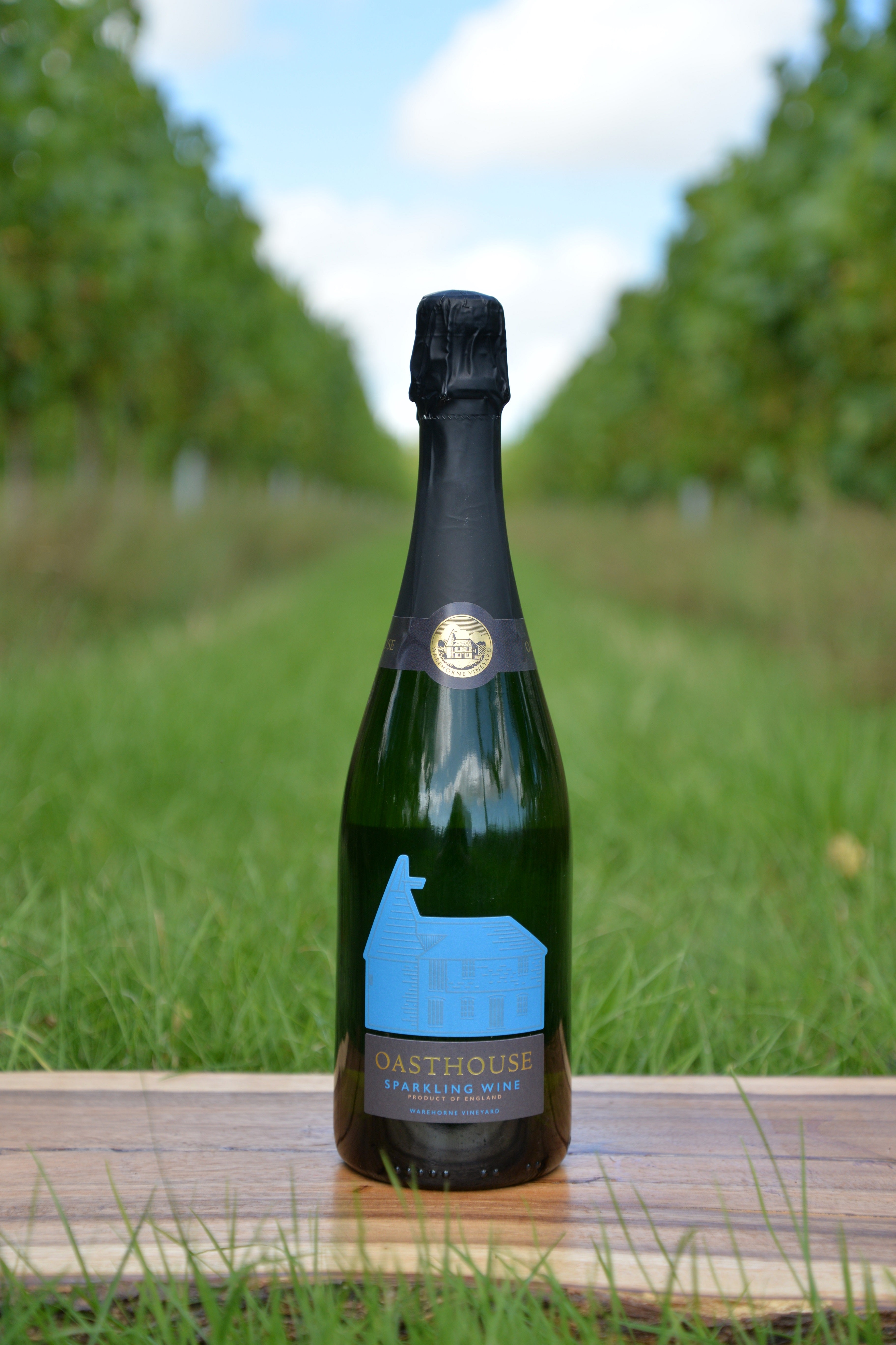 Warehorne Vineyard | Producing Quality Still Wines in Kent