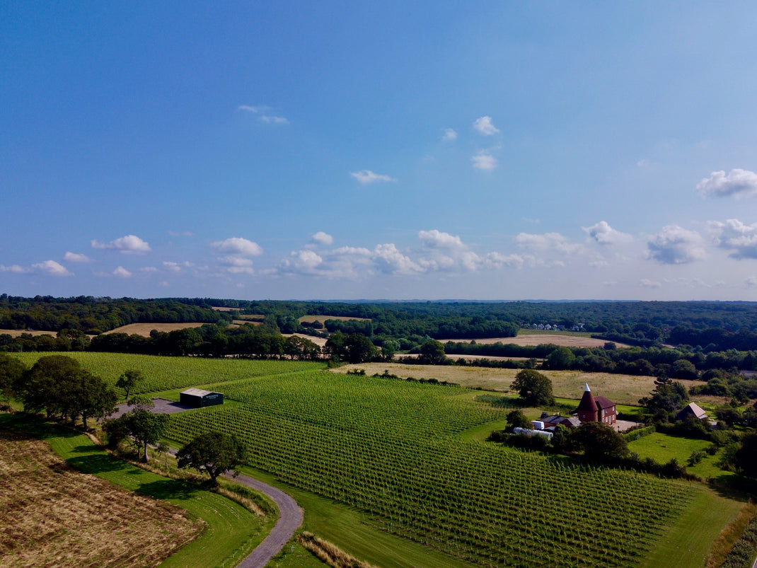 About – Warehorne Vineyard